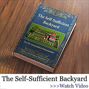 How Do You Make Activated Charcoal At Home? 2021 Guide - Homesteading ...