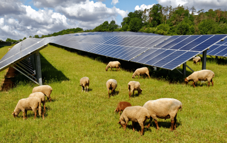 12 Innovative Ways To Generate Power Off-Grid In 2025 (That Actually ...
